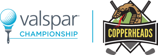 Brave BASH Information | ARISE Alliance Institute